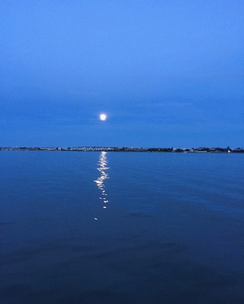 Manon , Pontoon Boat Rentals in the Hamptons